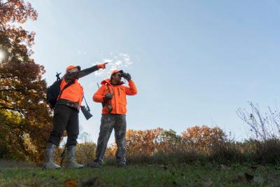 DNR seeks hunter participation in statewide deer hunter wildlife survey ...