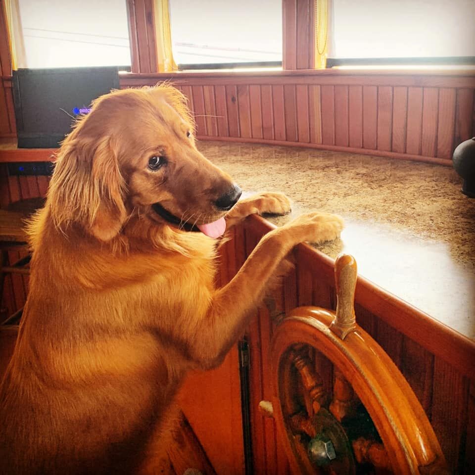 Calvin Braxton Ford's Within Our Waters: Young trawler says he’ll be on ...