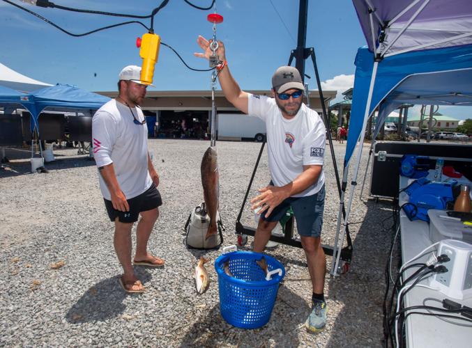 GALLERY: 2025 International Tarpon Rodeo | Multimedia ...