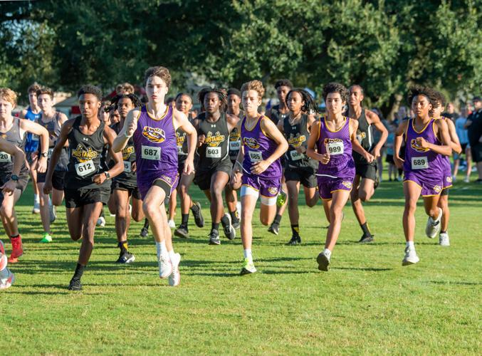 GALLERY: E.D. White Boys Cross Country | Multimedia | lafourchegazette.com