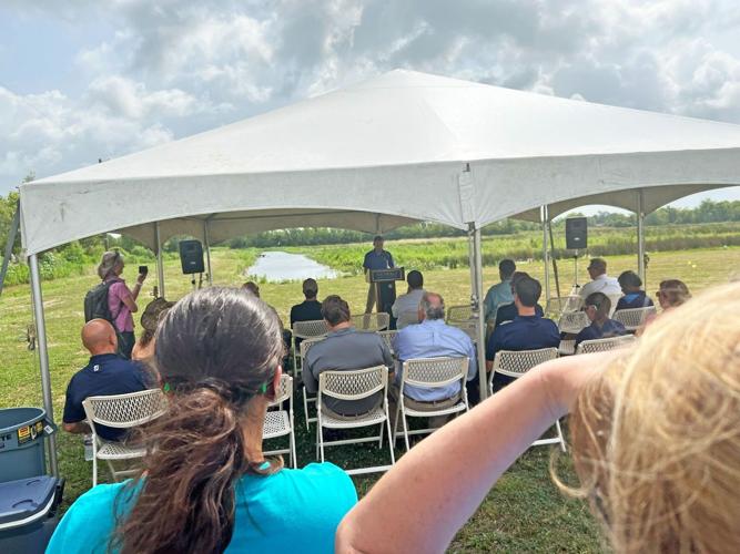 Nicholls Farm Creates Wetland Research Area with Support of Ducks ...