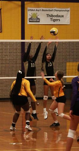 Photo Gallery: Freshmen Volleyball, THS vs Berwick | Multimedia ...