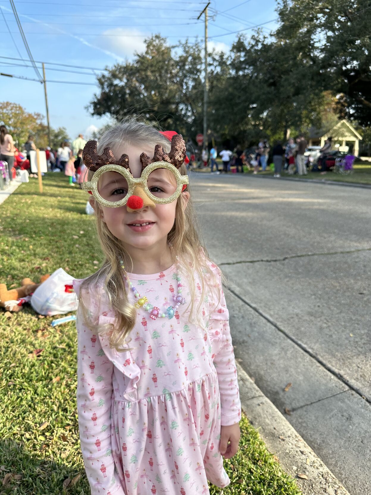 Thibodaux's Parade Brings Festive Cheer to the Heart of the Season ...
