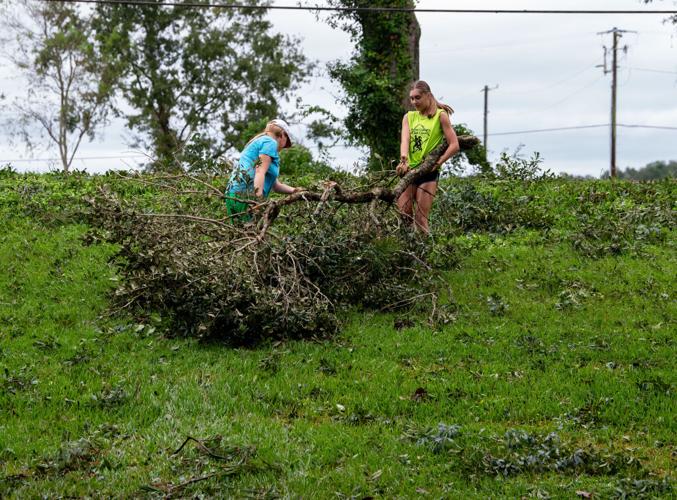 GALLERY: Hurricane Francine Damage in Thibodaux | | lafourchegazette.com