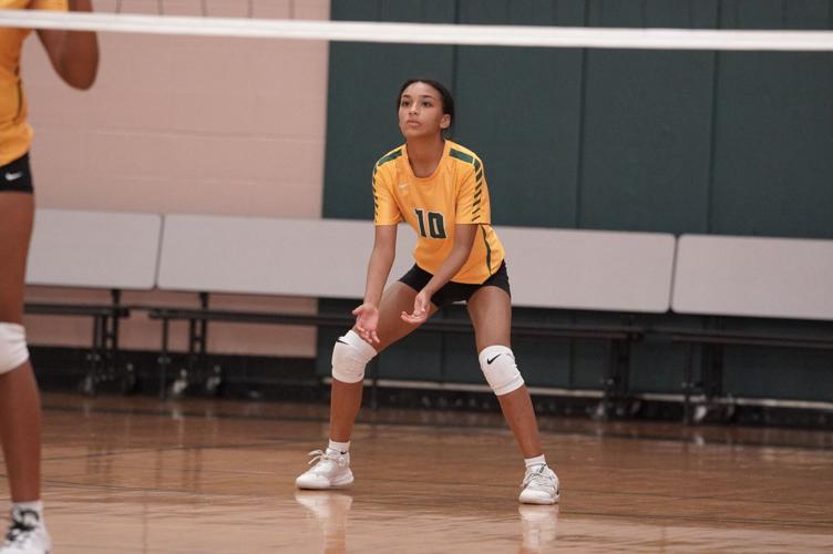 GALLERY: Volleyball- CLHS vs SLHS | Local School | lafourchegazette.com