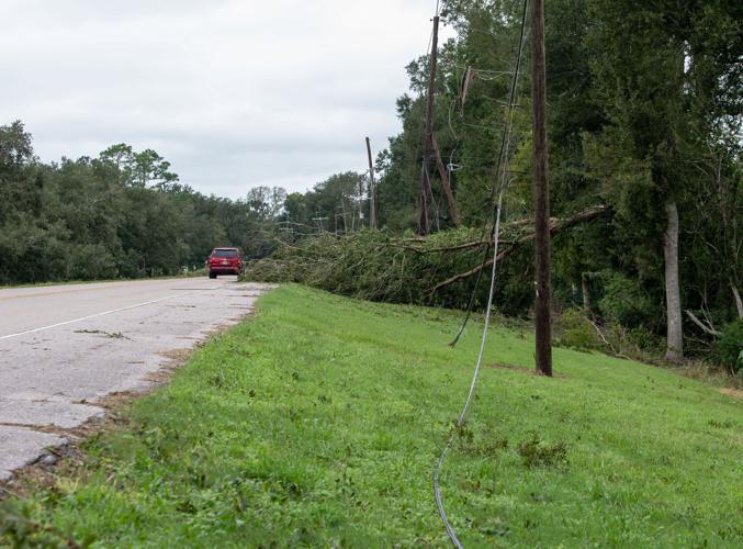 GALLERY: Hurricane Francine Damage in Thibodaux | | lafourchegazette.com