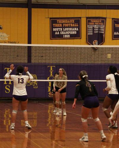 Photo Gallery: Varsity Volleyball, THS vs Berwick | Multimedia ...