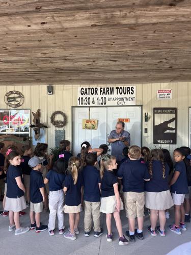 Lockport Lower Elementary School takes field trip to the Gator Farm ...