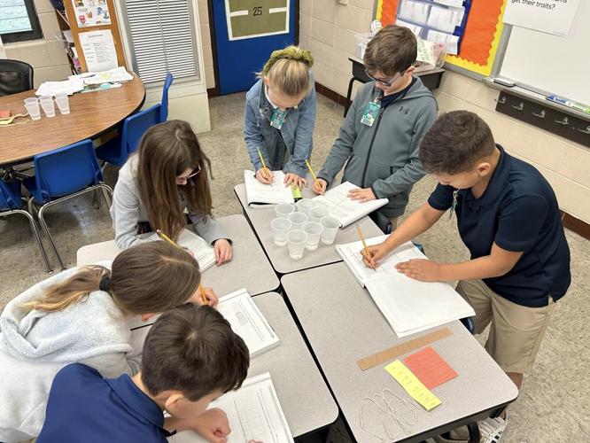 GALLERY: North Larose Elementary School students have fun with math ...