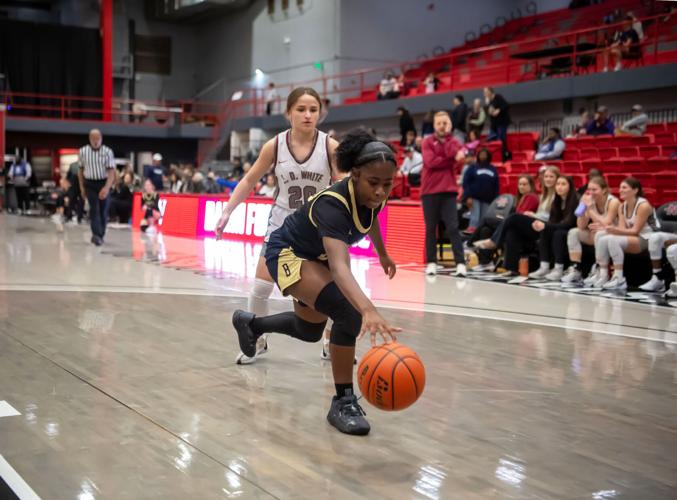 GALLERY: Girls Basketball- E.D. White vs Berwick | Multimedia ...
