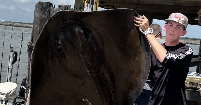 Sebastian Willis | Braggin Board | lafourchegazette.com