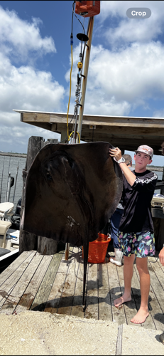 Sebastian Willis | Braggin Board | lafourchegazette.com