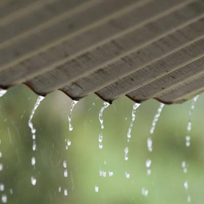 Louisiana Department of Insurance provides guidance to residents ...