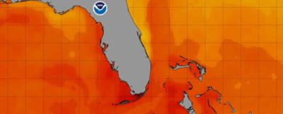 South Florida waters hit hot tub level and may have set world record ...