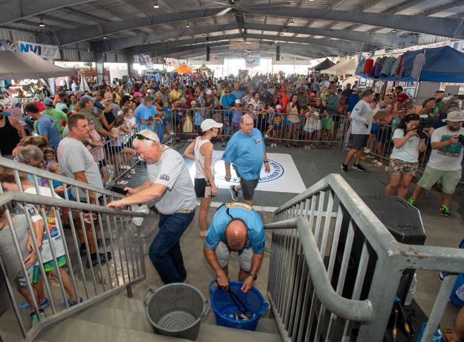 GALLERY: 2025 International Tarpon Rodeo | Multimedia ...