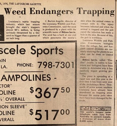 Back in the Day - December 15, 1976 | Lafourche Strong ...