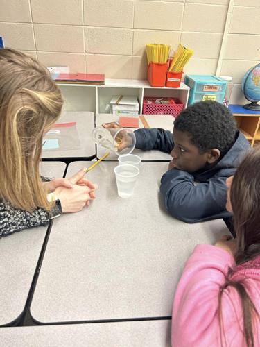 GALLERY: North Larose Elementary School students have fun with math ...
