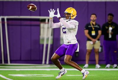 Thibodaux native big pat of LSU’s plans as 2024 season nears | Local ...