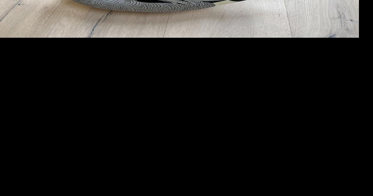 Calvin Braxton Ford presents Within Our Levees: Local family has been ...