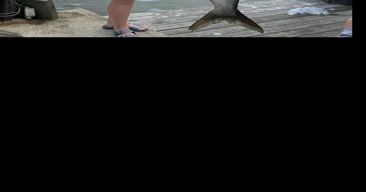 tarpon record louisiana