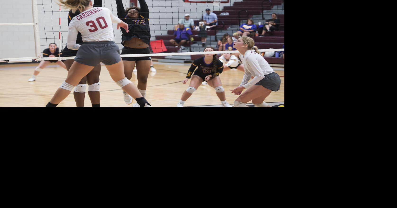 Cardinals Triumph Over Tigers: Sweeping Victory in Three Sets | Sports ...