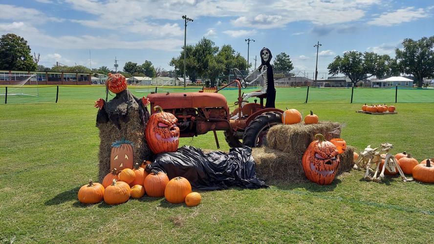 Photo Gallery: Lockport Pumpkin Patch | Local News | lafourchegazette.com