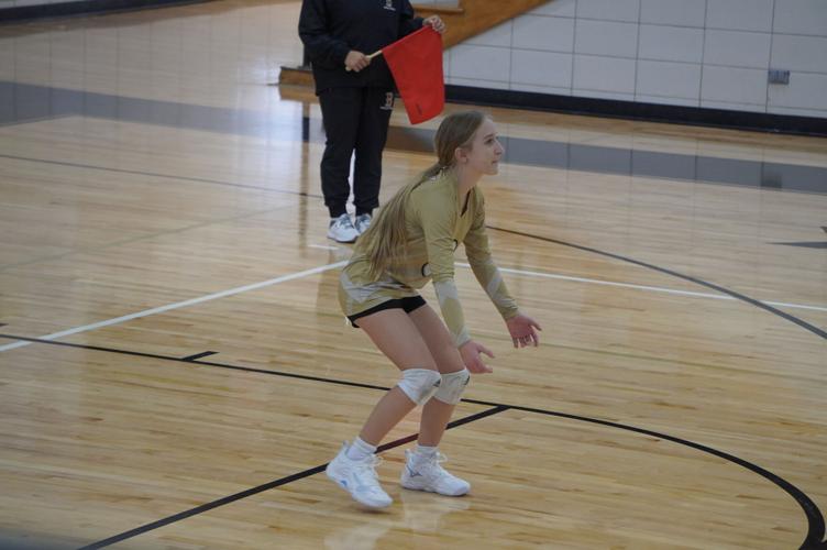 GALLERY: Volleyball: CLHS vs Berwick | Local School | lafourchegazette.com