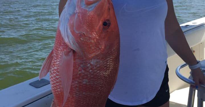 Red snapper daily limit in Louisiana expanded from three to four ...