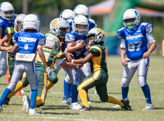 GALLERY: Bayou Bantam Football B Team | Multimedia | lafourchegazette.com