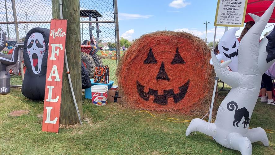 Photo Gallery: Lockport Pumpkin Patch | Local News | lafourchegazette.com