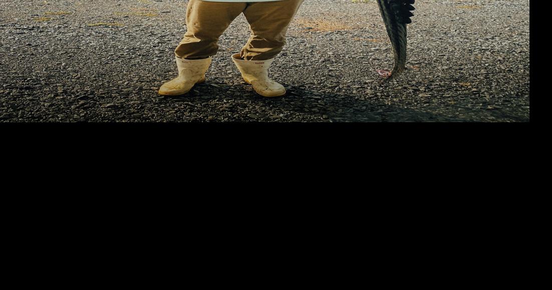 Calvin Braxton presents Within Our Levees: South Lafourche man loves ...