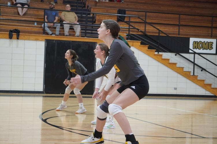 GALLERY: Volleyball: CLHS vs Berwick | Local School | lafourchegazette.com