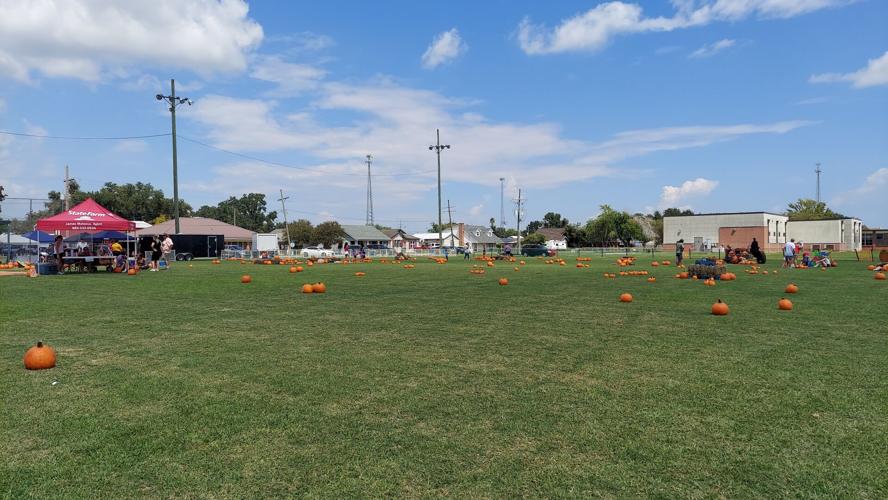 Photo Gallery: Lockport Pumpkin Patch | Local News | lafourchegazette.com