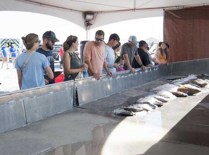 GALLERY: International Grand Isle Tarpon Rodeo - 2023 | Grand Isle ...