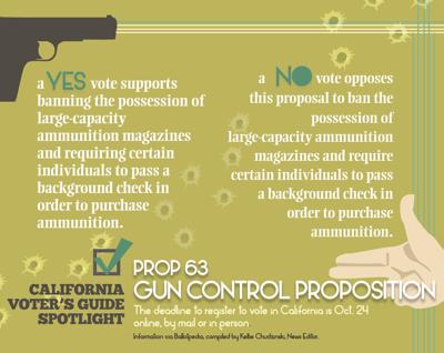Proposition 63: a look inside California's ballot | News | laloyolan.com