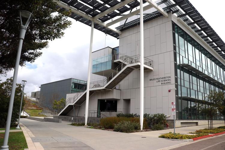 LMU to construct twin campus in metaverse | Campus News | laloyolan.com