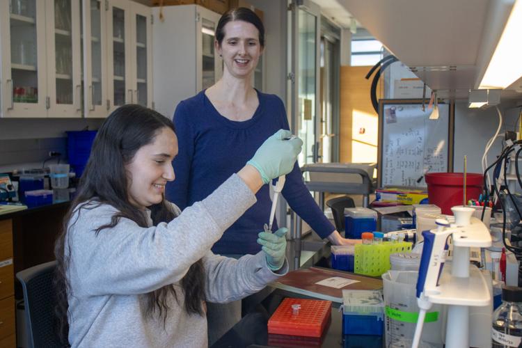 Professor Sarah Mitchell receives $300,000 research grant from the ...