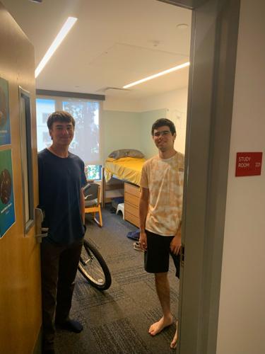 Palm North Converted Study Room | | laloyolan.com