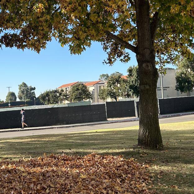 Fake leaves planted to raise campus beauty ranking | The Bluff ...