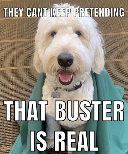 Highly relatable memes that showcase daily life at LMU | The Bluff ...