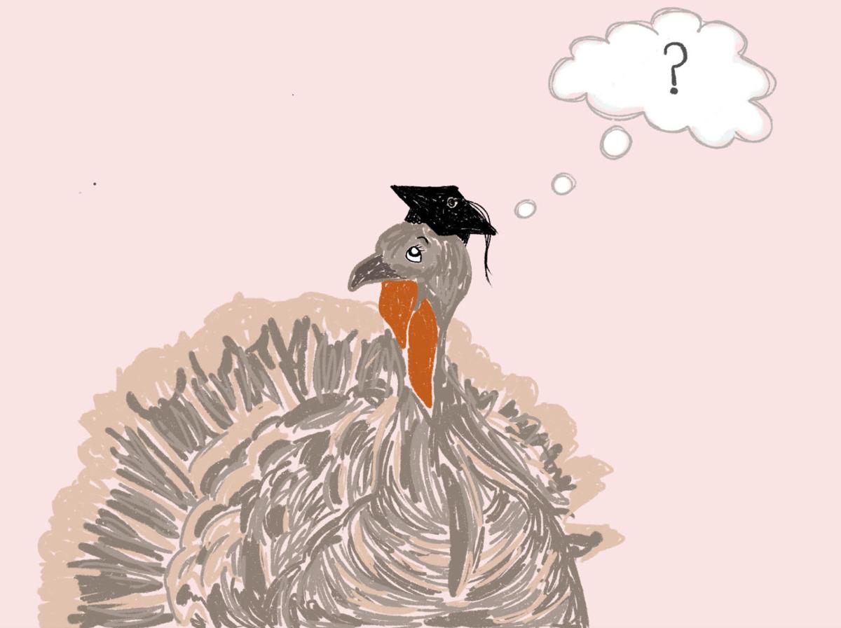 how to draw a turkey meme