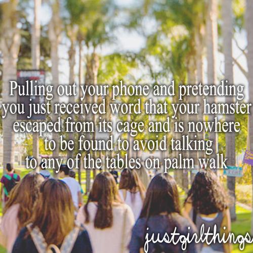 Bluff: LMU Imagines | The Bluff | laloyolan.com