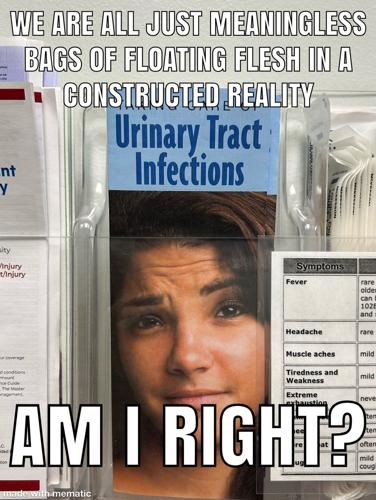 LMU memes to remind you you're special | The Bluff | laloyolan.com