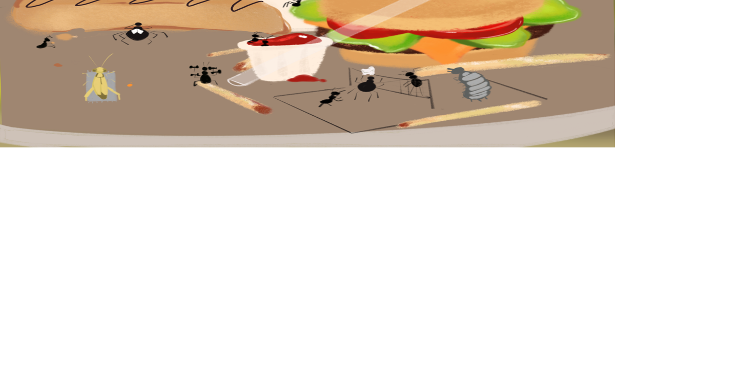 "Spring Bug Fun" Cartoon | Cartoons | laloyolan.com