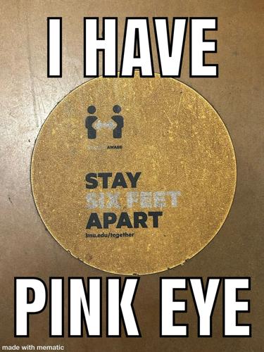 LMU memes to remind you you're special | The Bluff | laloyolan.com