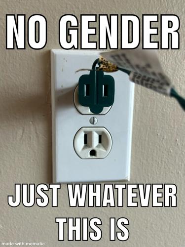 LMU memes to remind you you're special | The Bluff | laloyolan.com