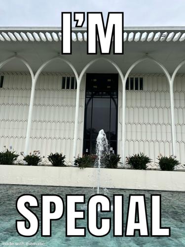 LMU memes to remind you you're special | The Bluff | laloyolan.com