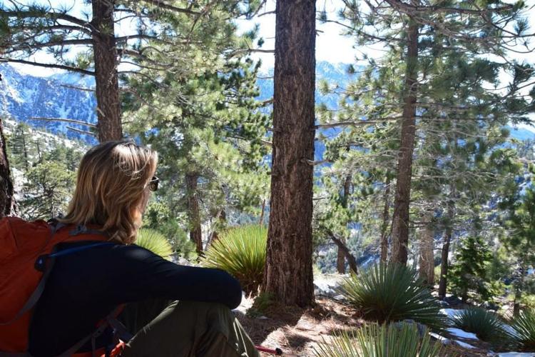 In remembrance of Samuel Piibe | News | laloyolan.com