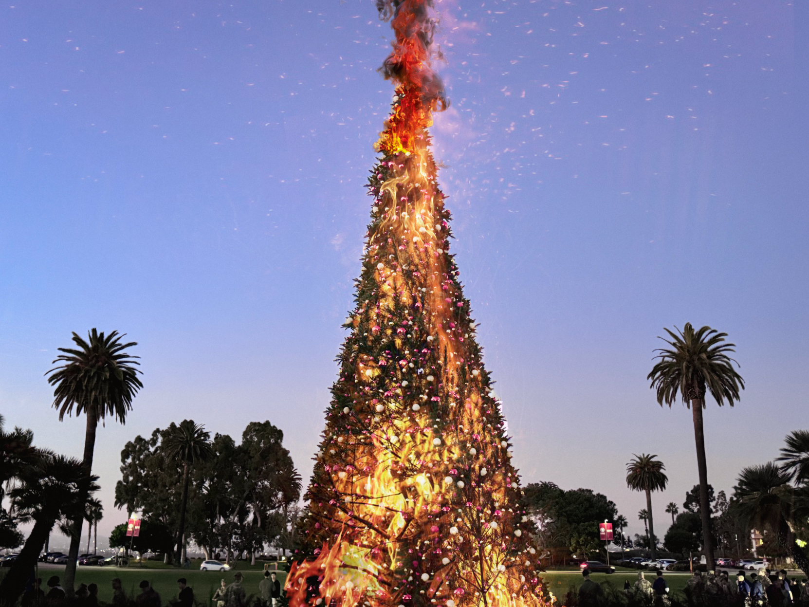Campus Christmas tree torched in metaphorical homage to finals week ...