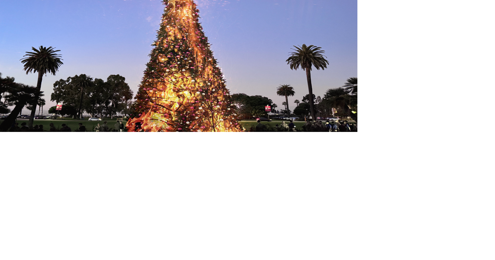 Campus Christmas tree torched in metaphorical homage to finals week ...